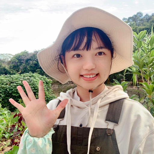 村里的燕子 