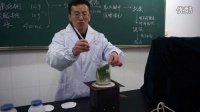 叶脉书签的制作
