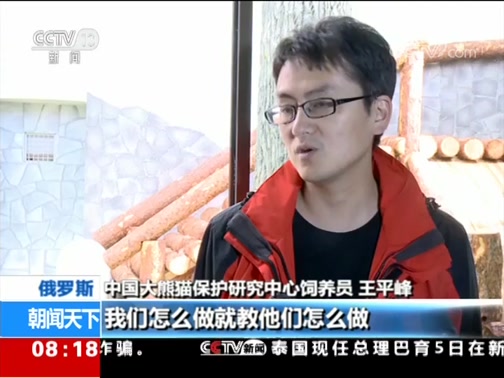 [朝闻天下]俄罗斯 中国大熊猫亮相莫斯科动物园