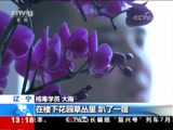 [新闻直播间]辽宁 探访辽宁省强制隔离戒毒所 戒毒学员自白:吸毒毁了...
