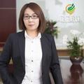 九州知产 