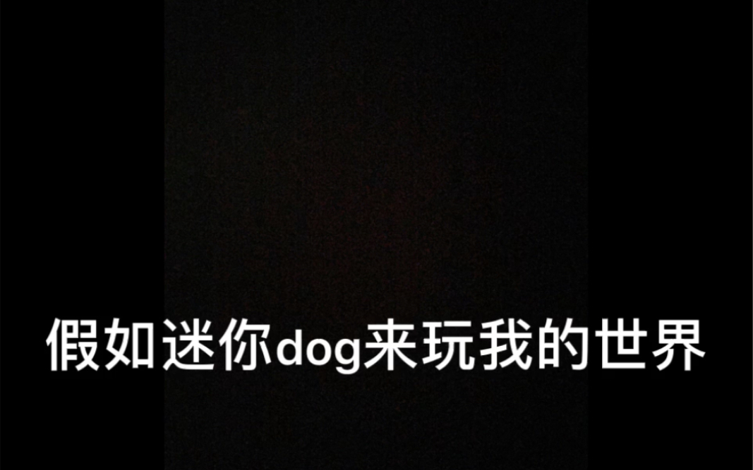 迷你世界玩家来玩我的世界(别喷)