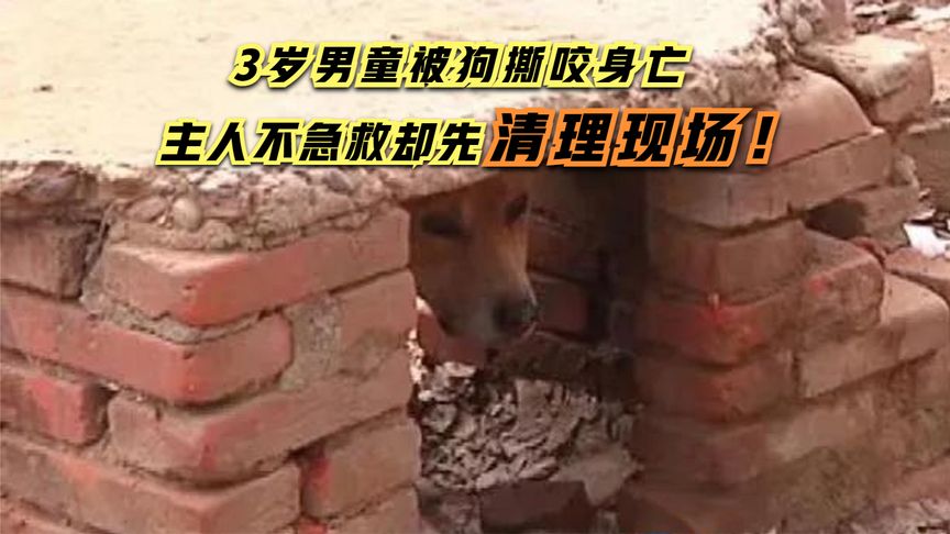 3岁男童被狗撕咬身亡主人却不是先通知急救 律师:涉嫌刑事犯罪