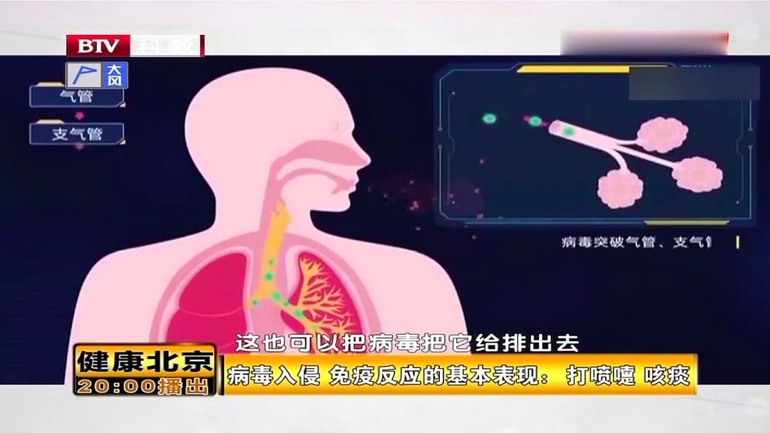 新冠肺炎病毒入侵人体,身体免疫系统如何发挥作用?专家现场揭秘