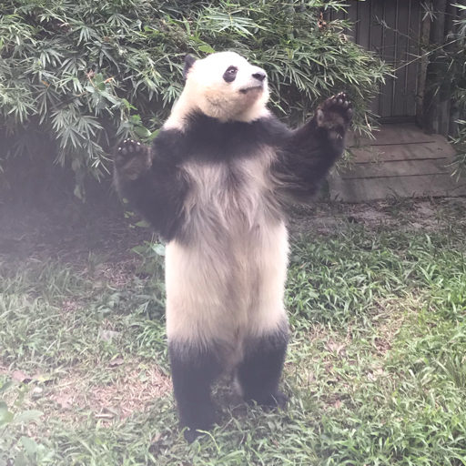 星星要吃饭妹妹要睡觉 