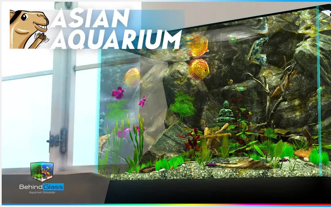 【葡萄吃月饼|搬运】水族馆模拟器 玻璃背后的亚洲花园水族馆是纯粹...