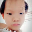 娟娟娟果