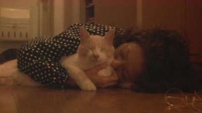 漫画家在梦中与死去猫交谈,才发现只有猫了解她《咕咕是一只猫》