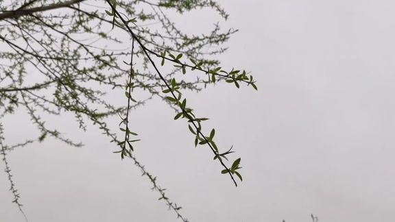 #记录平凡生活 #美好时光留住美好的回忆 #植树造林 #田园生活