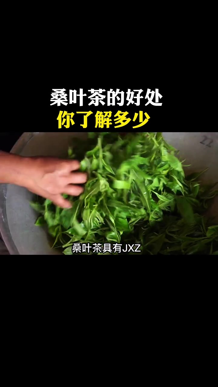 桑叶茶的好处,刷新你的认知