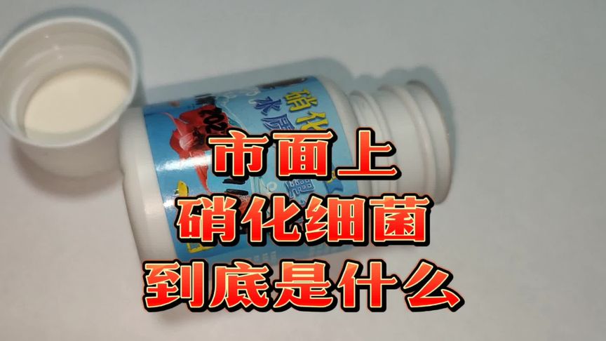 硝化细菌到底是什么?假的就是智商税,真的就是养鱼灵丹妙药