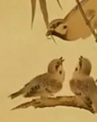 ...《美丽的森林》的动画片,是由央美动画系研究生杨春历时三年,绘制了...