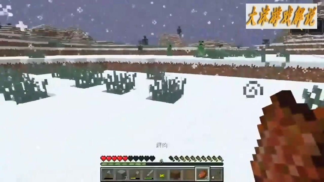 我的世界:当妈的就是当妈的!熊的妈妈有够强!这样都打死坏蛋!