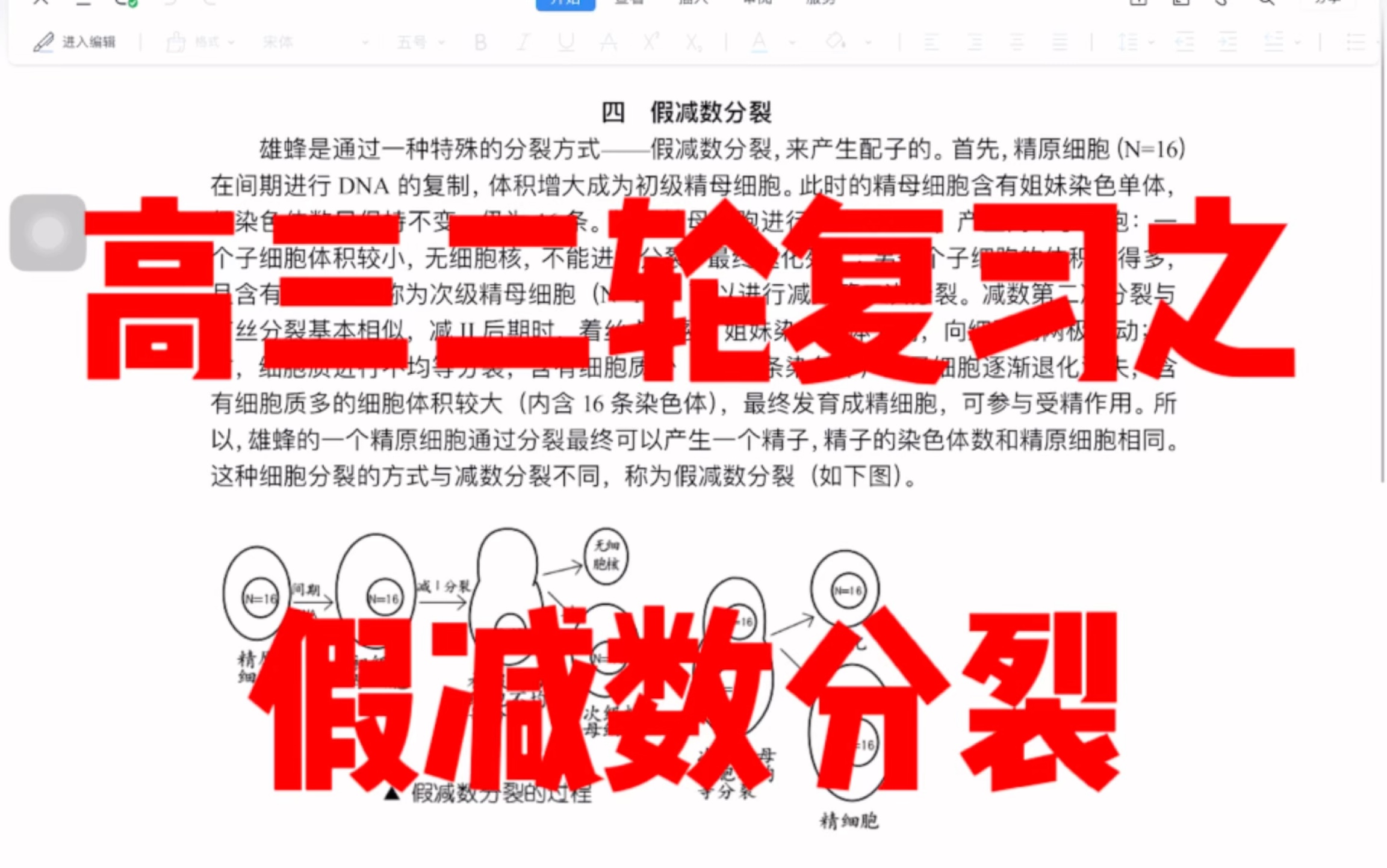 ...成绩质的飞跃,高三二轮复习之假减数分裂和孤雌生殖,蜜蜂的一生。