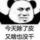 仙人掌仙人球球球 