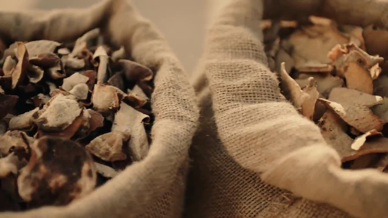 江西樟树宣传片