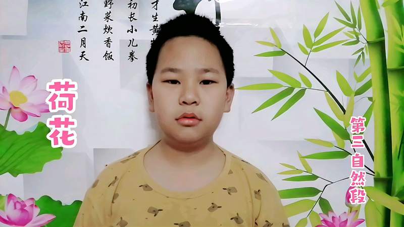 荷花:三年级语文下册第三自然段背诵