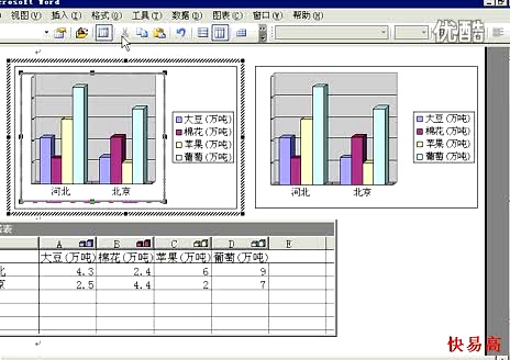 Word 2003 如何隐藏图表中的绘图区域的边框线