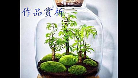 废物再利用——制作简单生态瓶