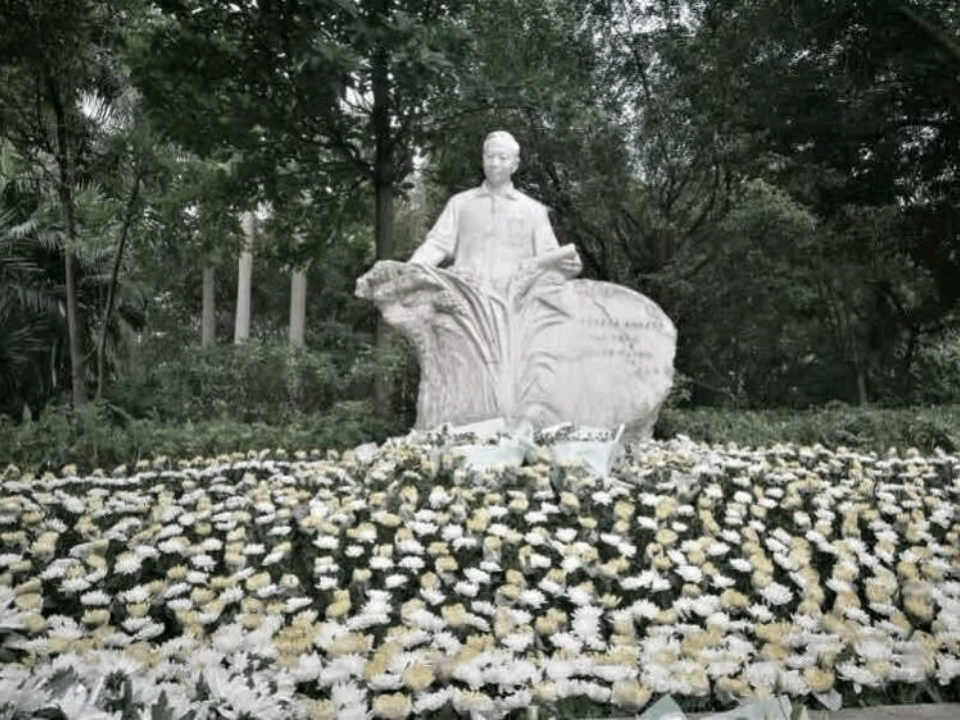 永葆初心的时代楷模卢永根院士