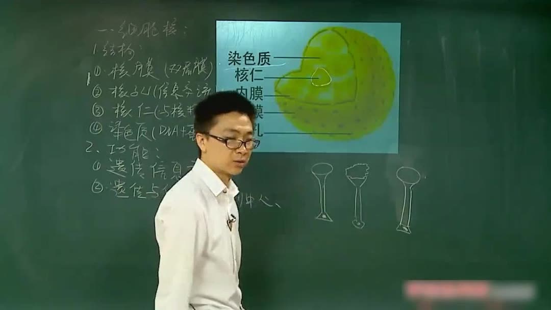 高一生物视频教学细胞器的结构与功能