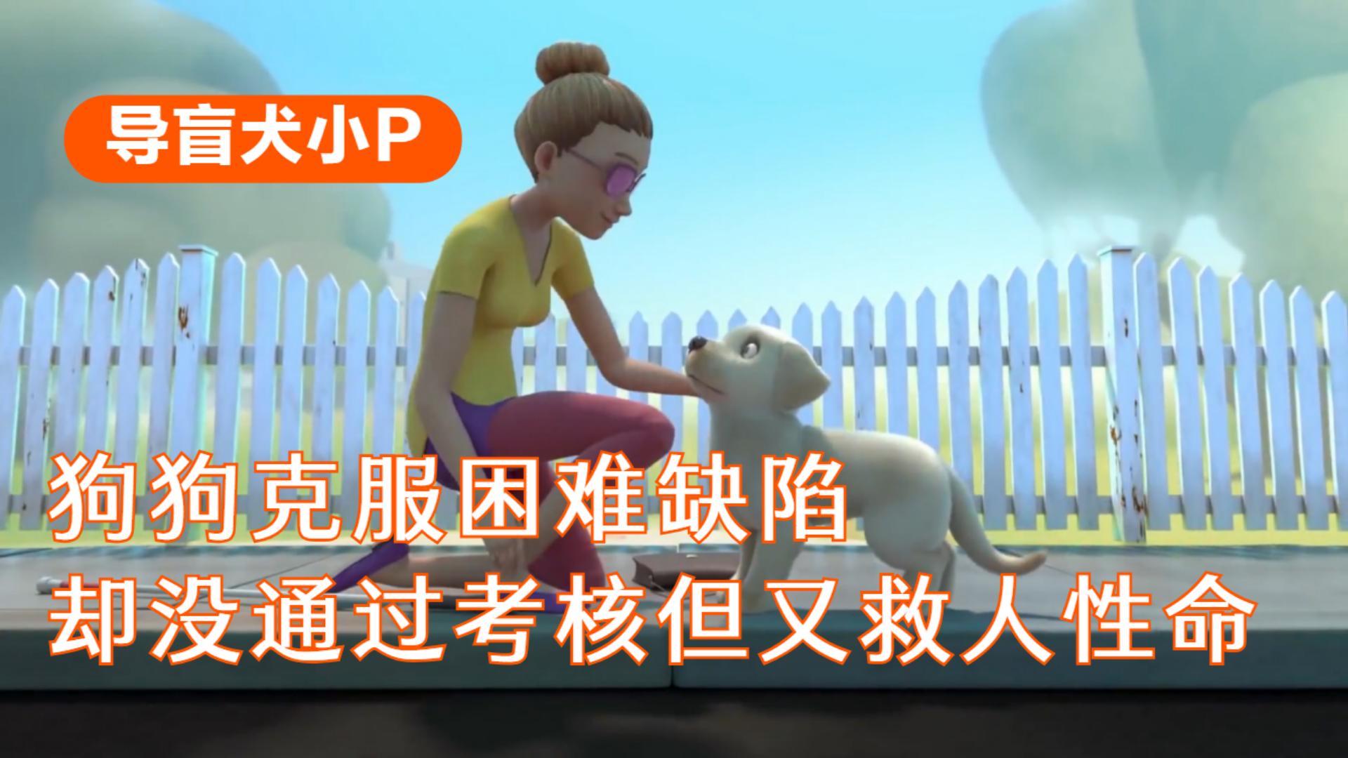 一部励志的动画短片,狗狗克服困难和缺陷只为成为导盲犬!