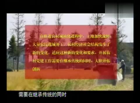 农村党组织书记工作案例