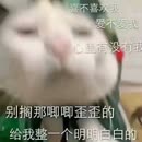 渣渣辉看了直呼内行 