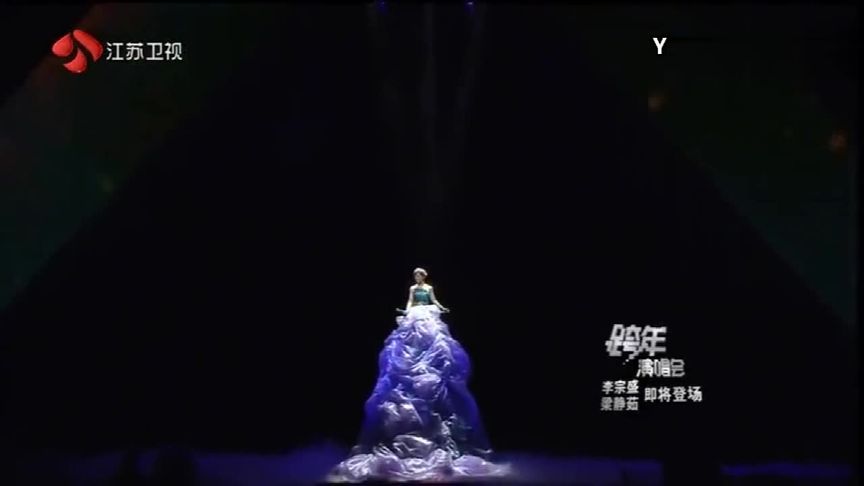 梁静茹经典歌曲:江苏卫视跨年演唱会现场版 精彩好听
