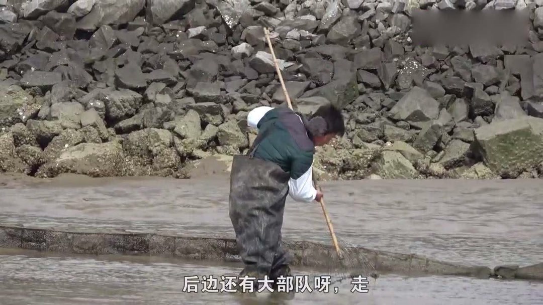 小伙赶海遇上了皮皮虾,皮皮虾:你走,我不想遇到你!