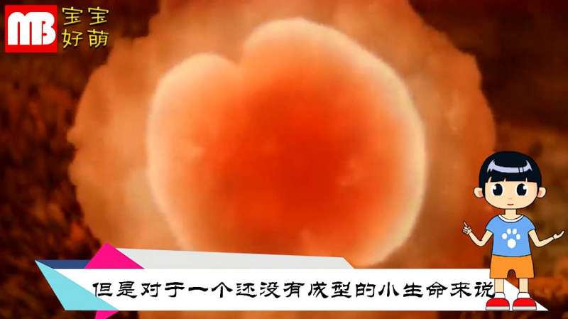 怀孕第1个月,胎宝宝都在肚子里忙活啥?看完心里暖暖的