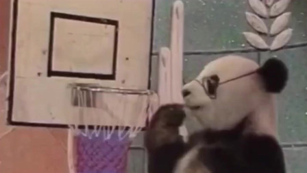 早期春晚熊猫表演,好家伙还是猴哥主持的