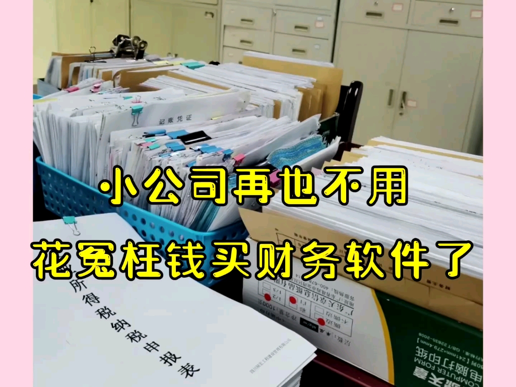 小公司就不用花冤枉钱买财务软件了,这个财务记账系统,足够用了