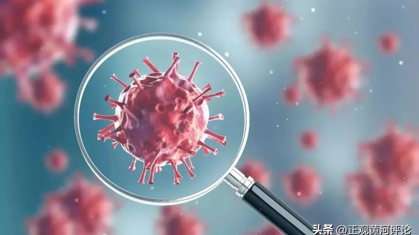 正观视评:新冠康复仍可能二次感染,不必恐慌但要保持警惕