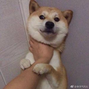 最美不过遇见你啊81 