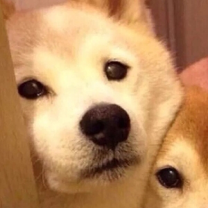灵魂聚焦 