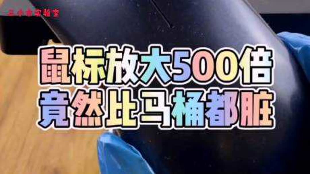 实验:将鼠标放大500倍,看看什么样