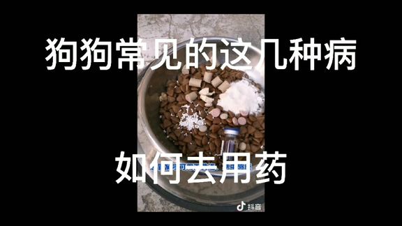 狗狗常见病的用药与治疗方法