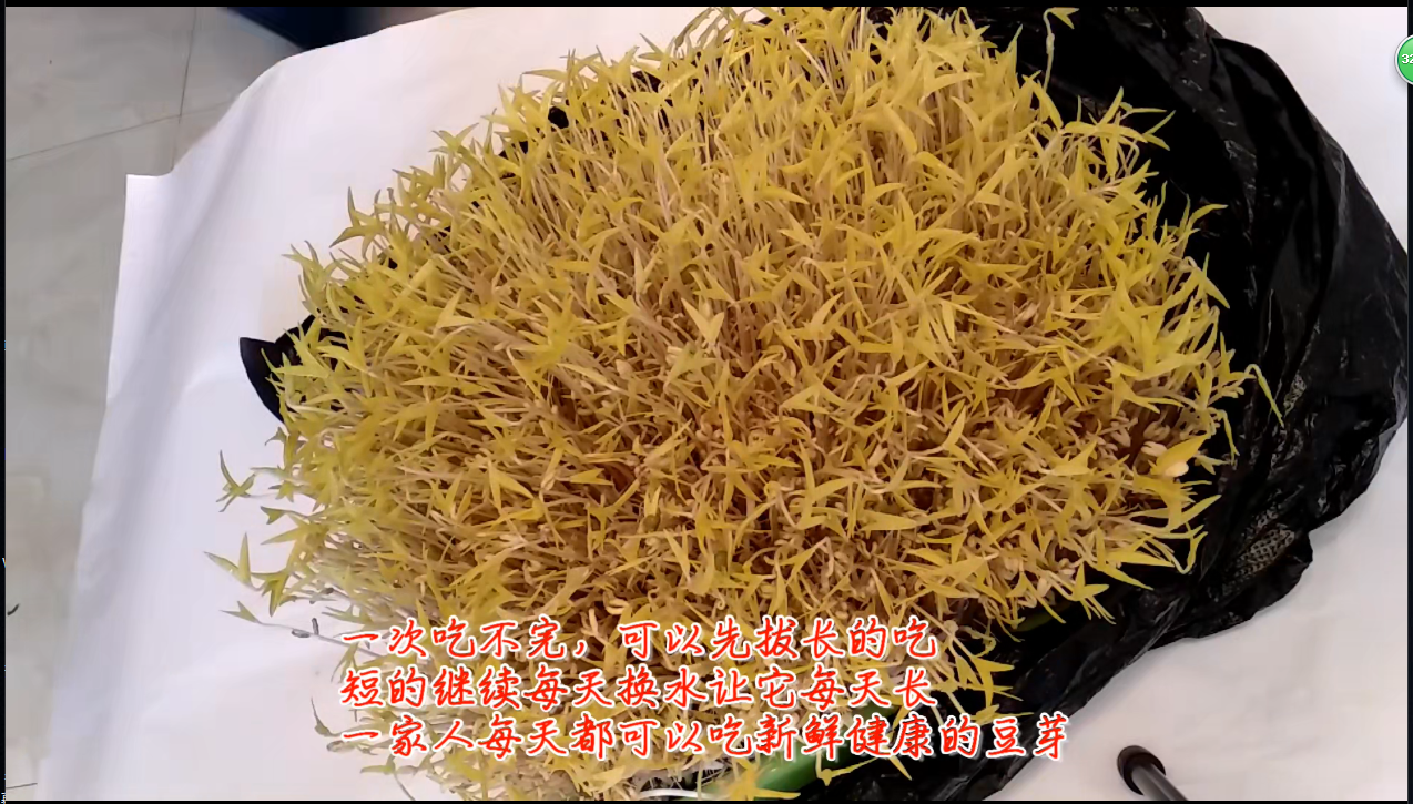 看完这个视频,自己在家就能种豆芽