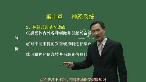 生理学:神经系统第一节:神经元的基本功能