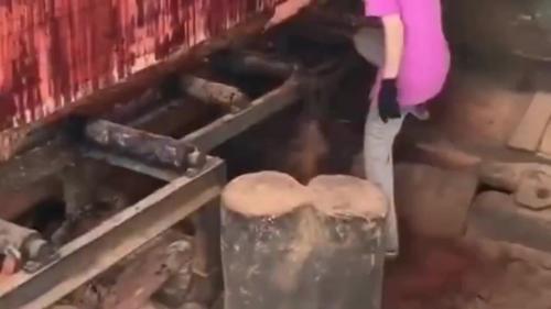 森林里种植的树木,都做成了平常用的家具