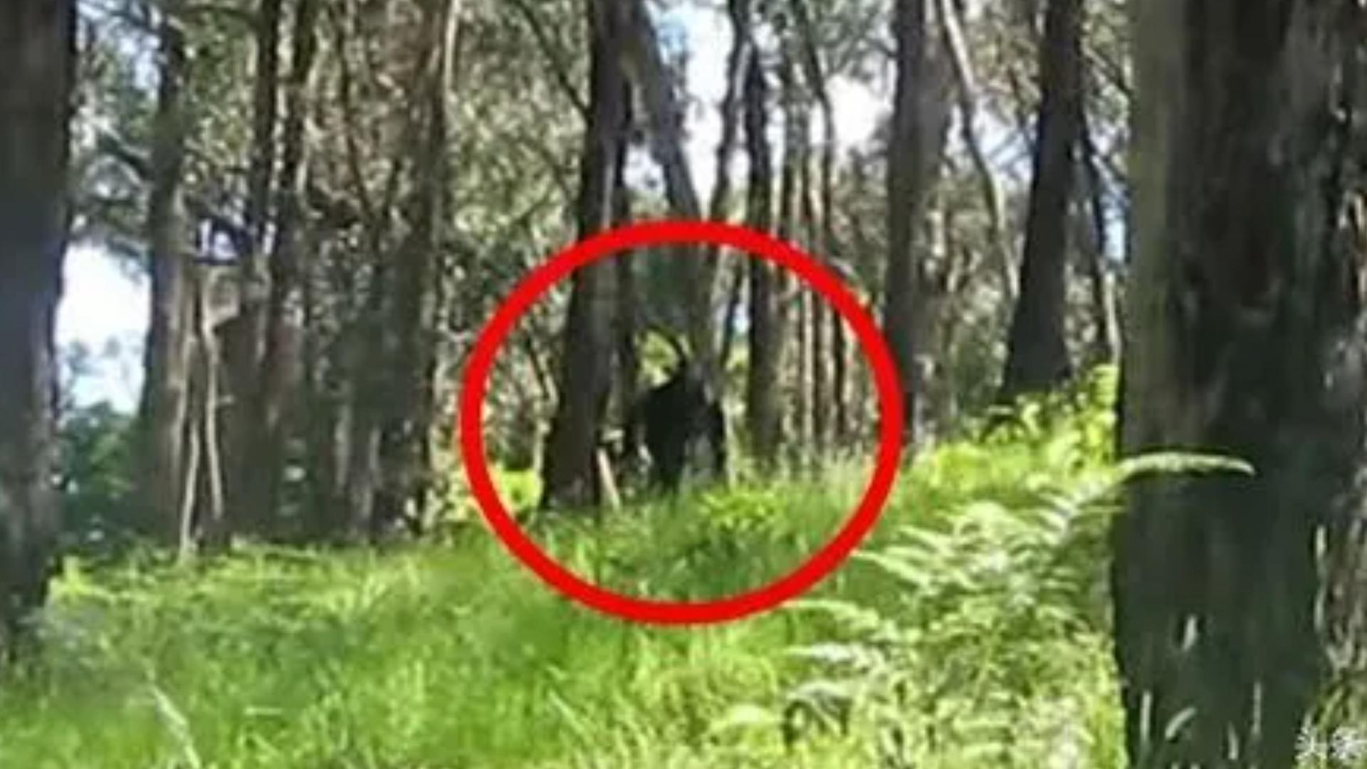 第一次见如此诡异的动物,众人赶来合影,专家一看当场吓坏