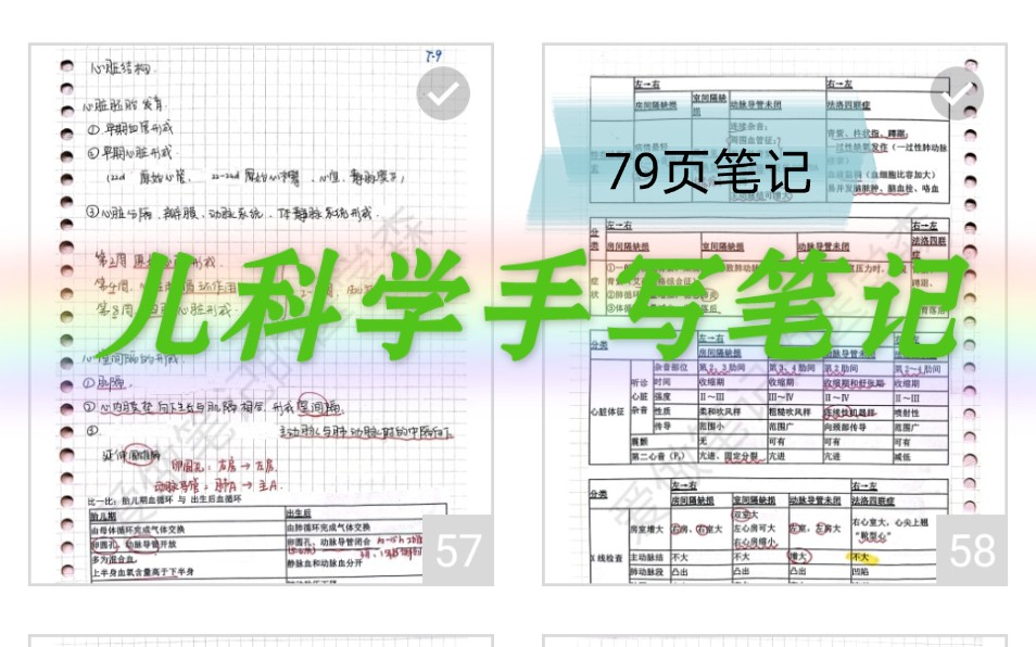 【儿科学】79页【手写】笔记,看的【景晴】老师的网课,本科笔记