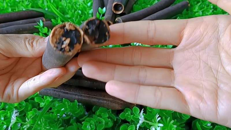 便秘果的吃法有几种,你记住了吗?