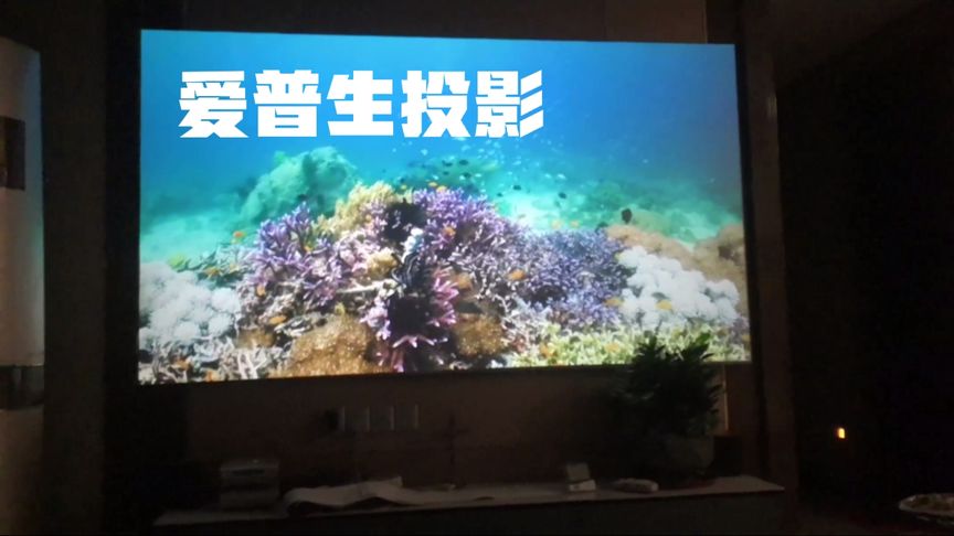 晚上用爱普生投影看的