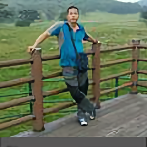 梦飞翔八卦掌 