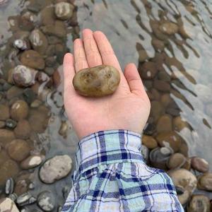 漂泊在重庆 