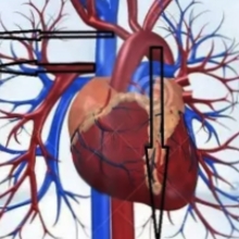 医学知识搬运工 
