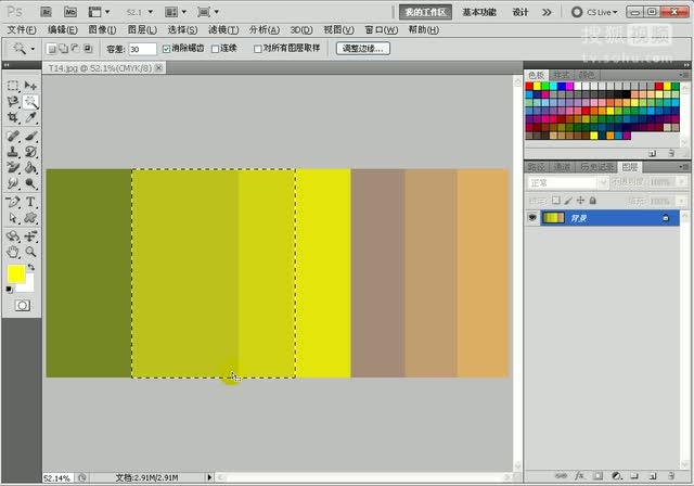 ps抠图教程:【魔棒工具】的容差在选取中的应用