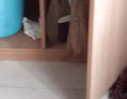 教室卫生1 (2)